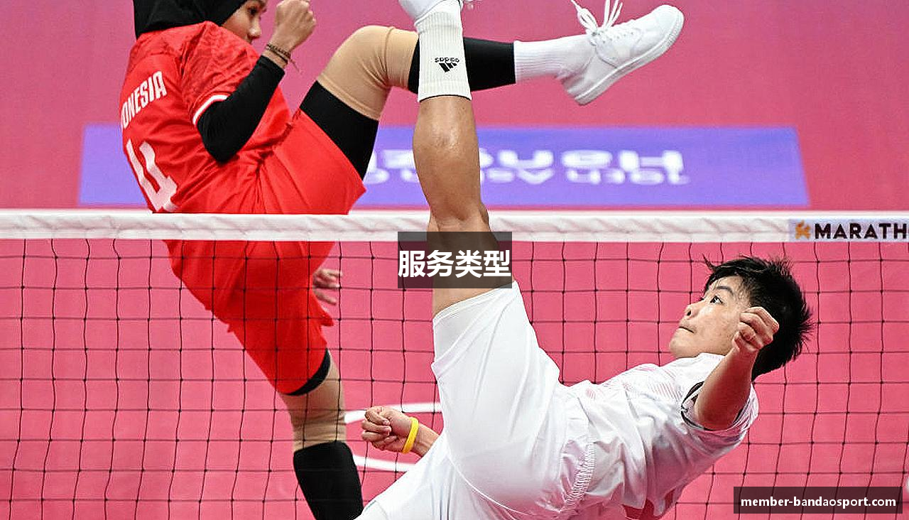 服务类型 - 半岛体育-半岛体育官方网站-BANDAO SPORTS
